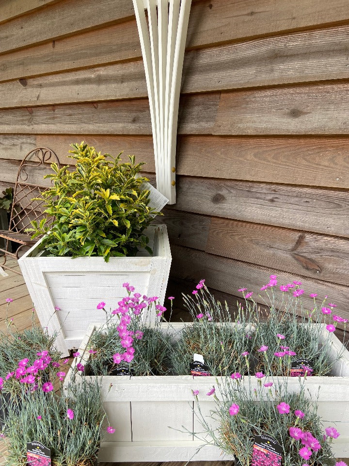 Custom Wood Planters – Toms Creek Farm & Nursery